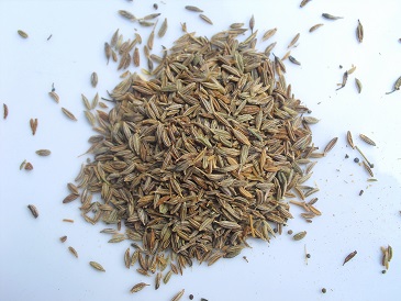 Komijnzaad | Weblog Voedwel