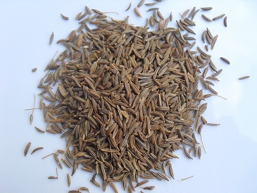 Kummel | Weblog Voedwel