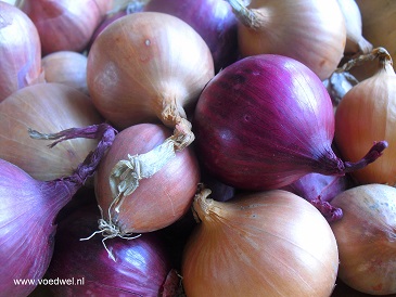 Uien | Weblog Voedwel